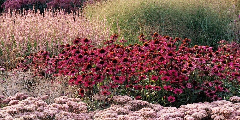 The Inspiration Behind Milliken's Painted Garden Collection